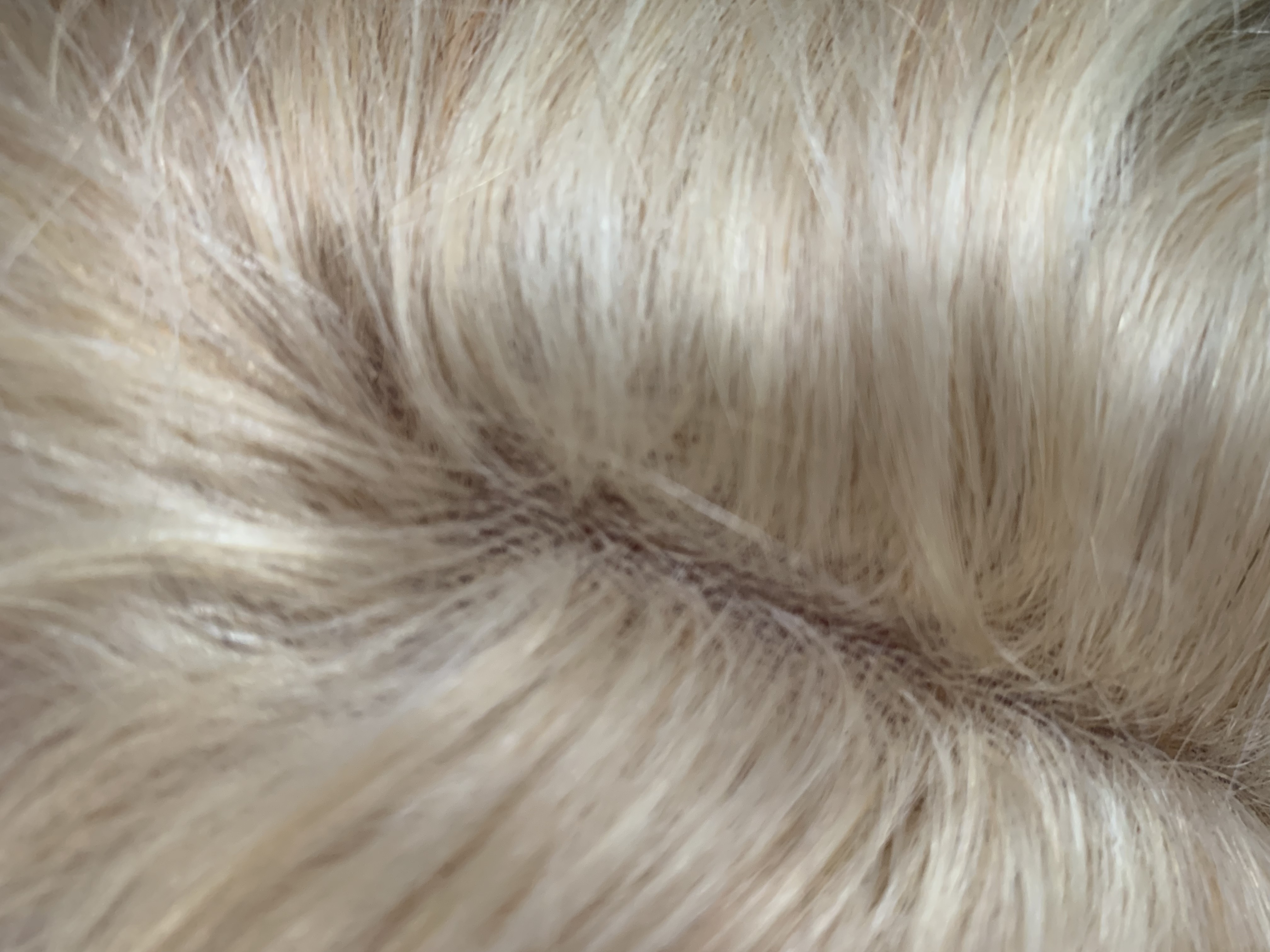 Re Wigs Reviews - 32 Reviews of Rewigs.com | Sitejabber