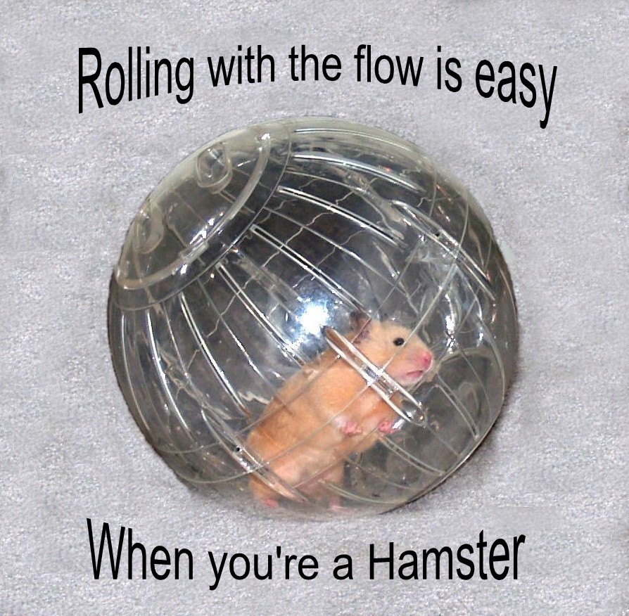 ViewBug Reviews - 174 Reviews of Viewbug.com | Sitejabber